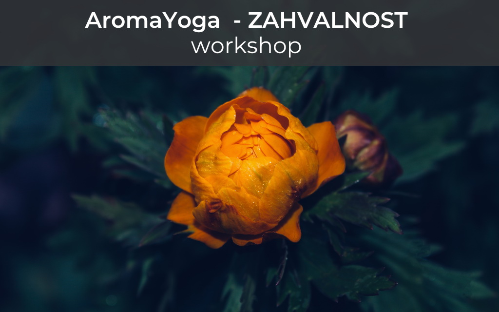 AromaYoga Workshop – Homeplace